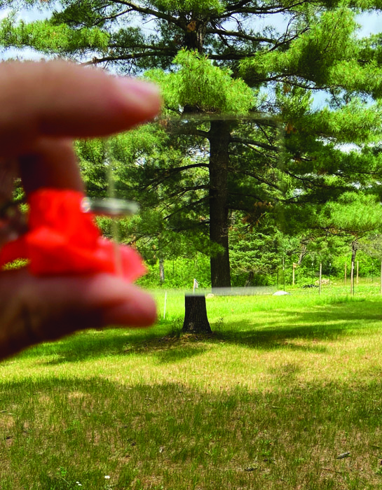 Forest Inventory Sampling Methods for the Woodlot - Grit